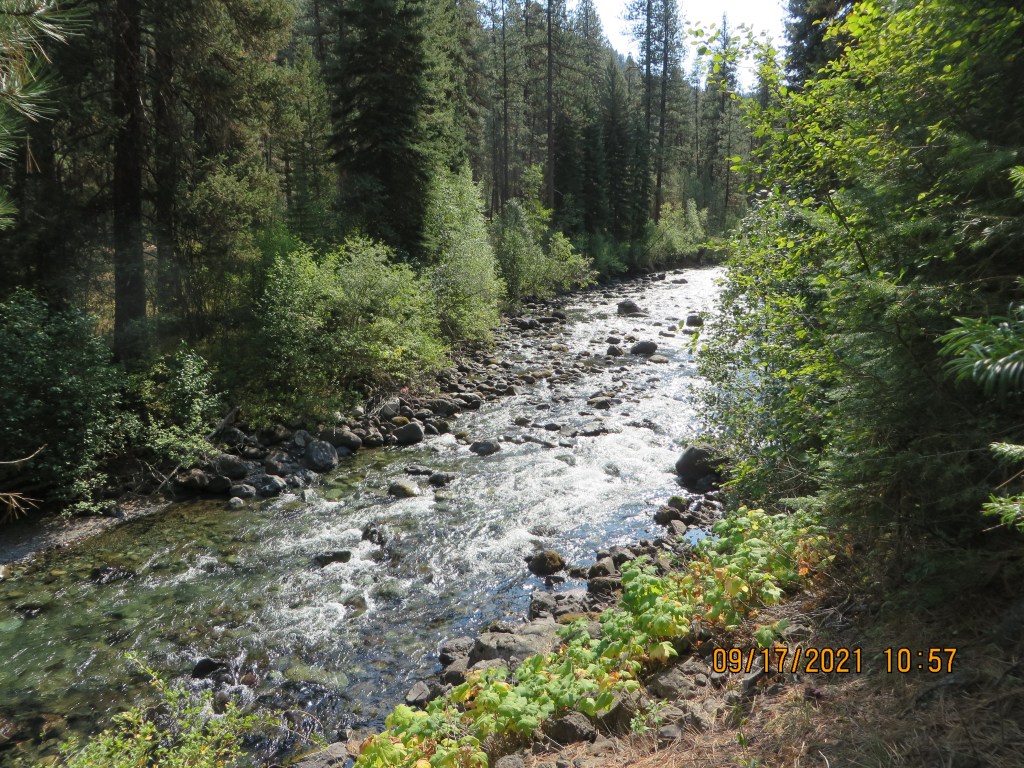 Logging on Public Lands – Blue Mountains Biodiversity Project